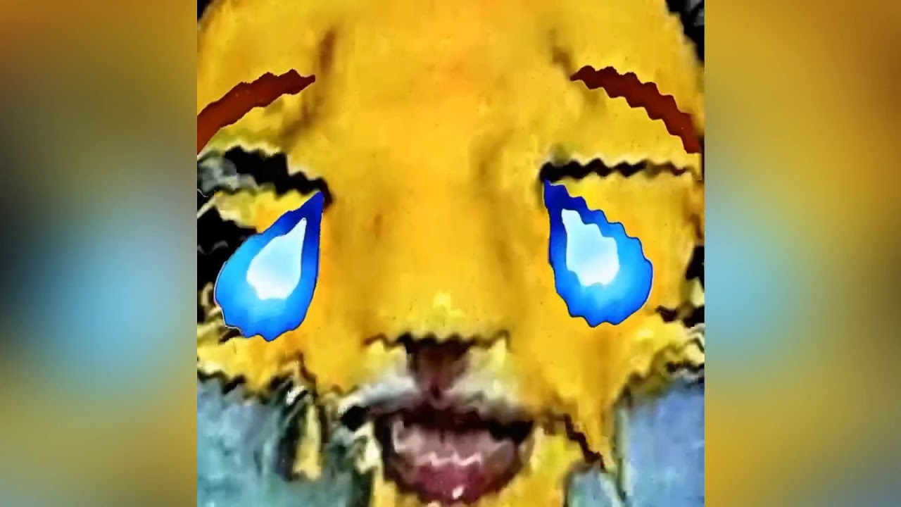 This cat has cheese on it’s face!!!!!!!! - YouTube