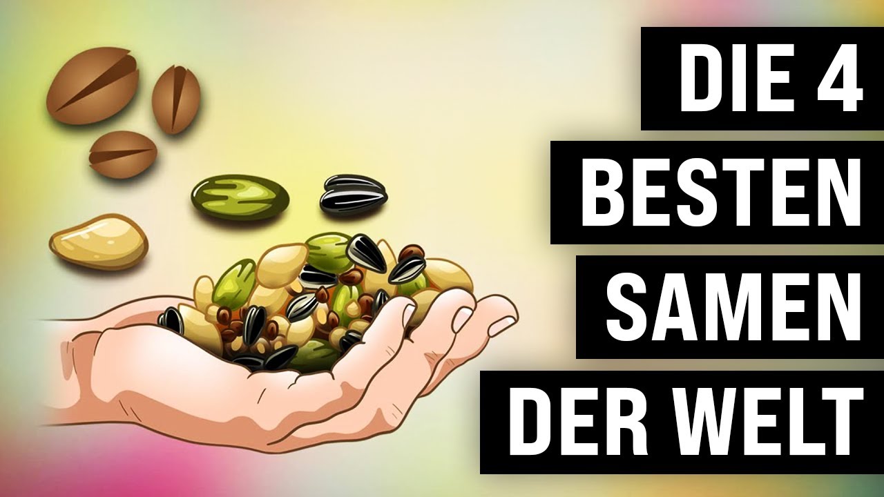Die 4 gesündesten Samen der Welt! - YouTube
