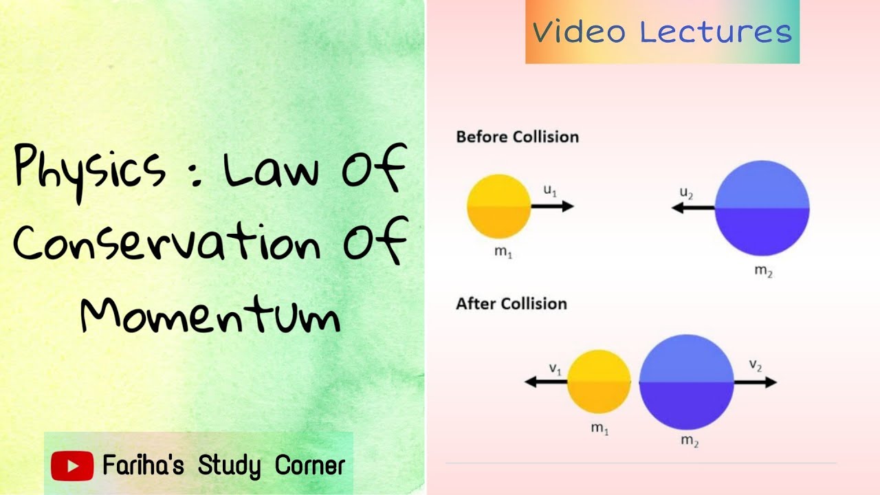 Law of Conservation Of Momentum Explanation with Examples Class 9th ...