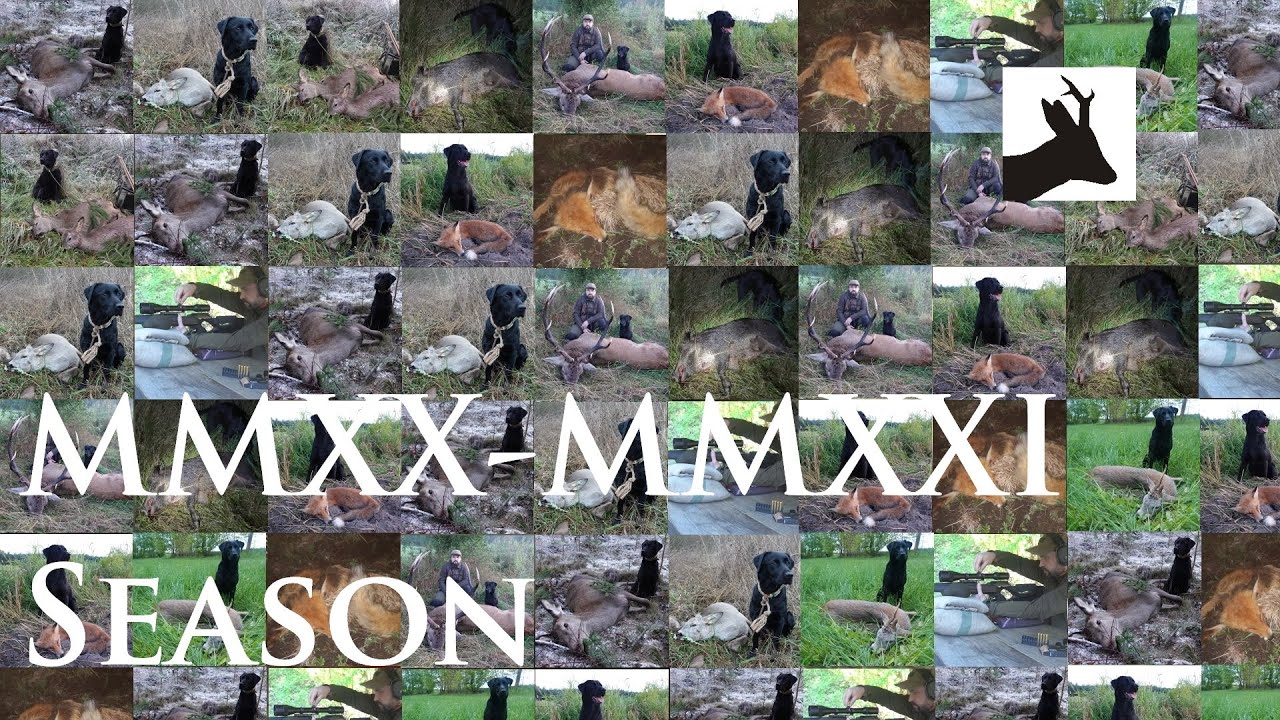 2020-2021 Hunting season highlights - YouTube