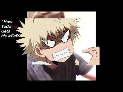 Bnha Vines || Ultimate Fanboy Trio  --- 1000+ Subs!!