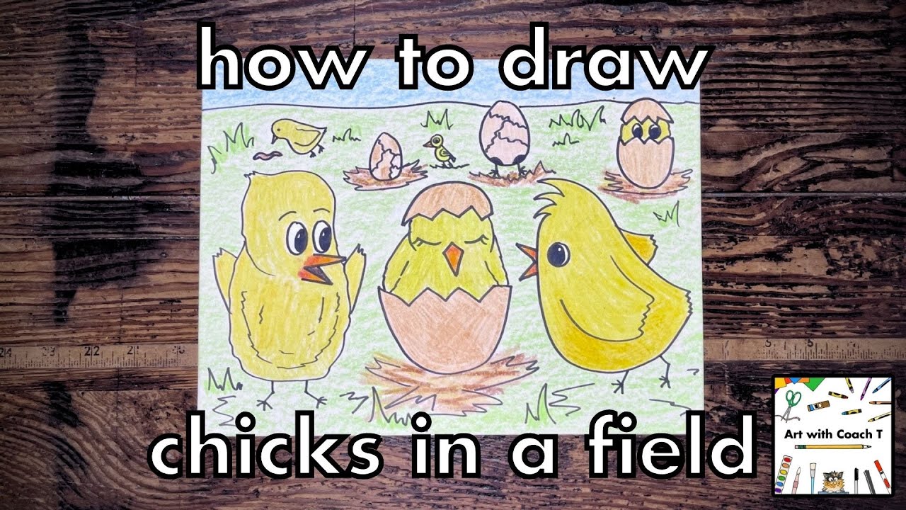 How to Draw Chicks - YouTube