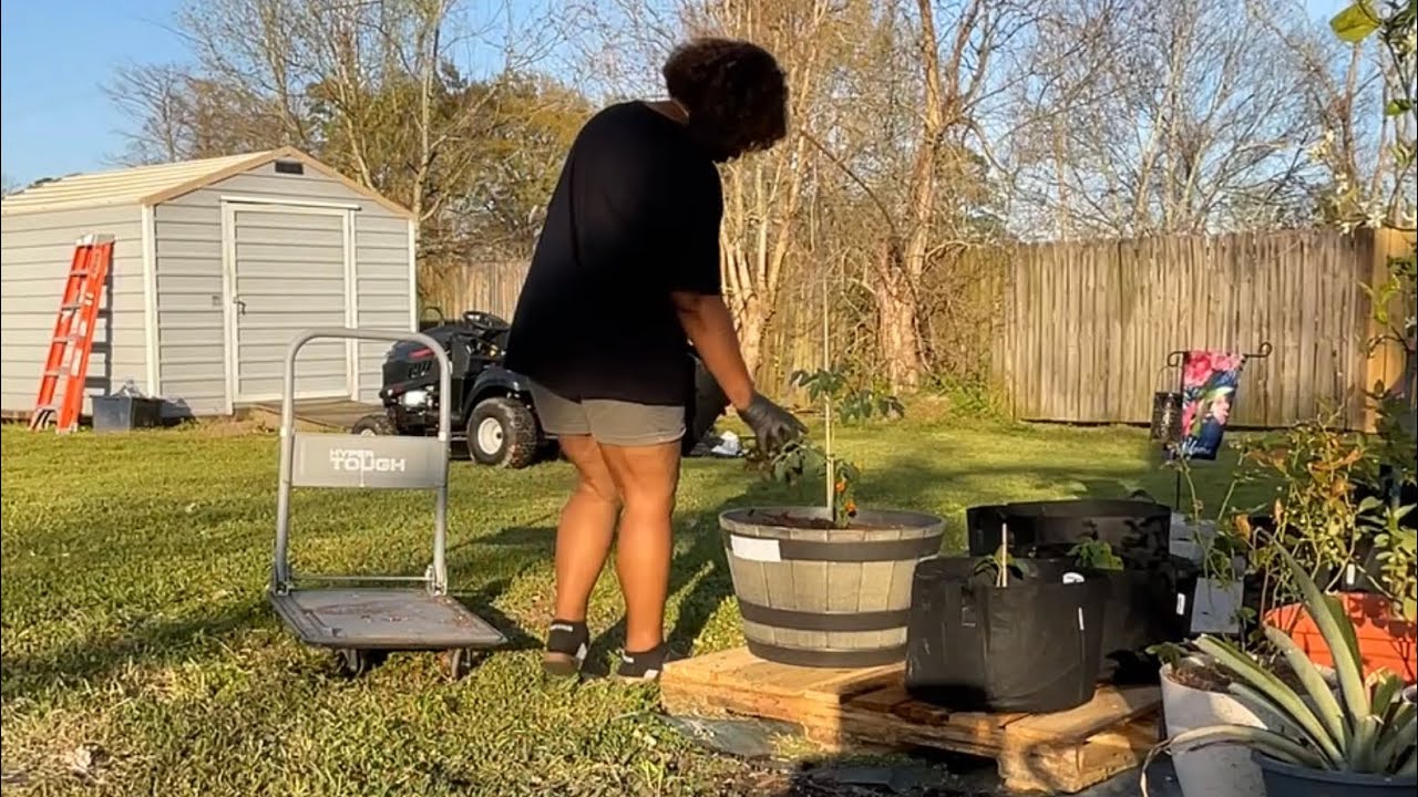 Planning and planting my spring garden. Fails, mishaps and surprises ...