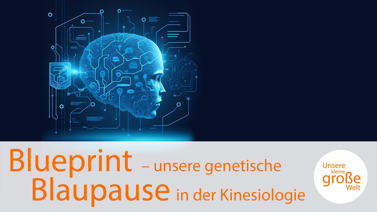 159 … Blueprint – unsere genetische Blaupause in der Kinesiologie ...