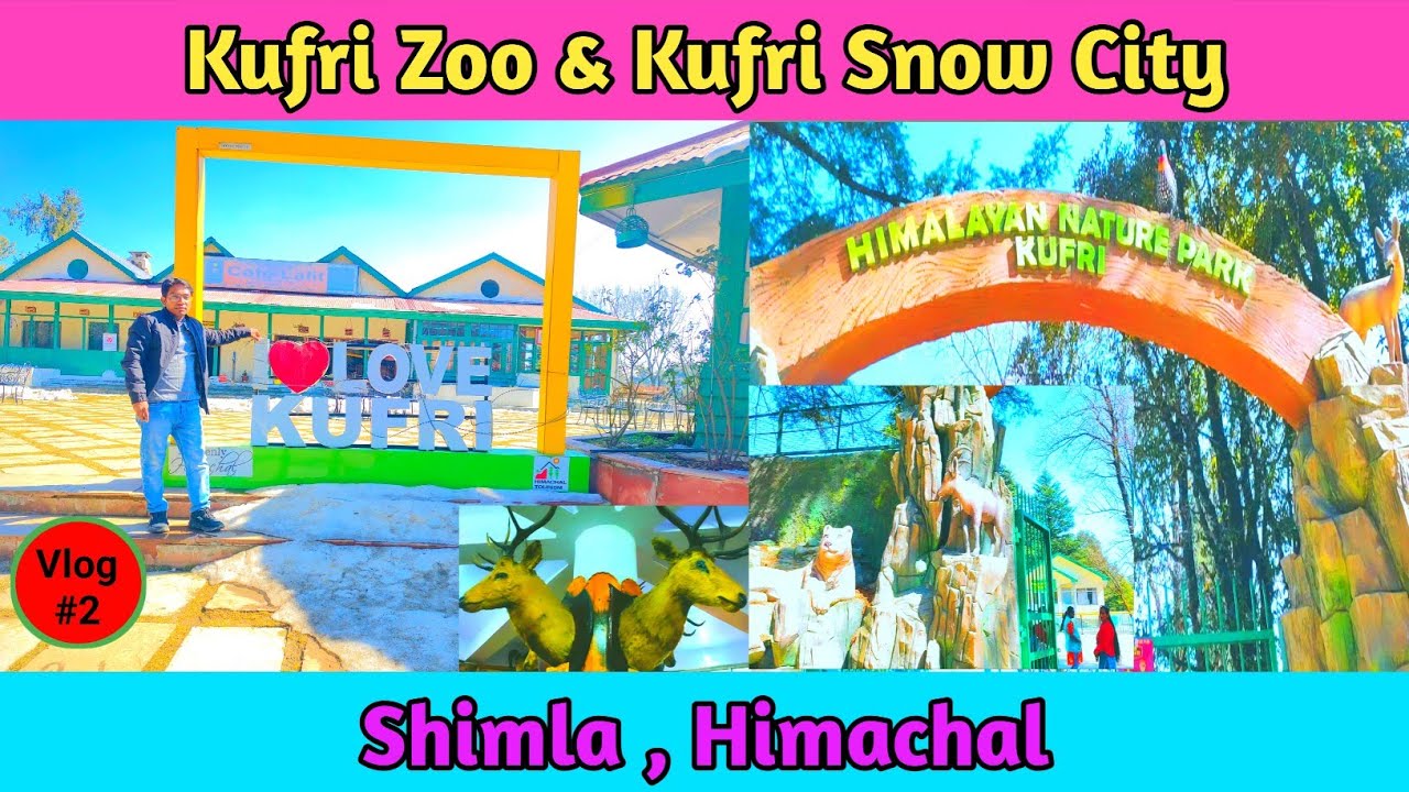 Kufri Zoo | Kufri City | Kufri Tourist Places | Shimla Vlog 😊 - YouTube