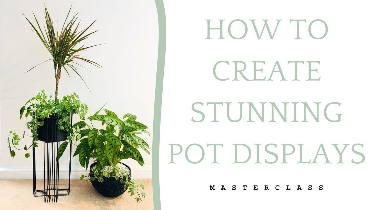 MASTER The Art of HOW To Create BREATHTAKING PLANT POT & CONTAINER ...