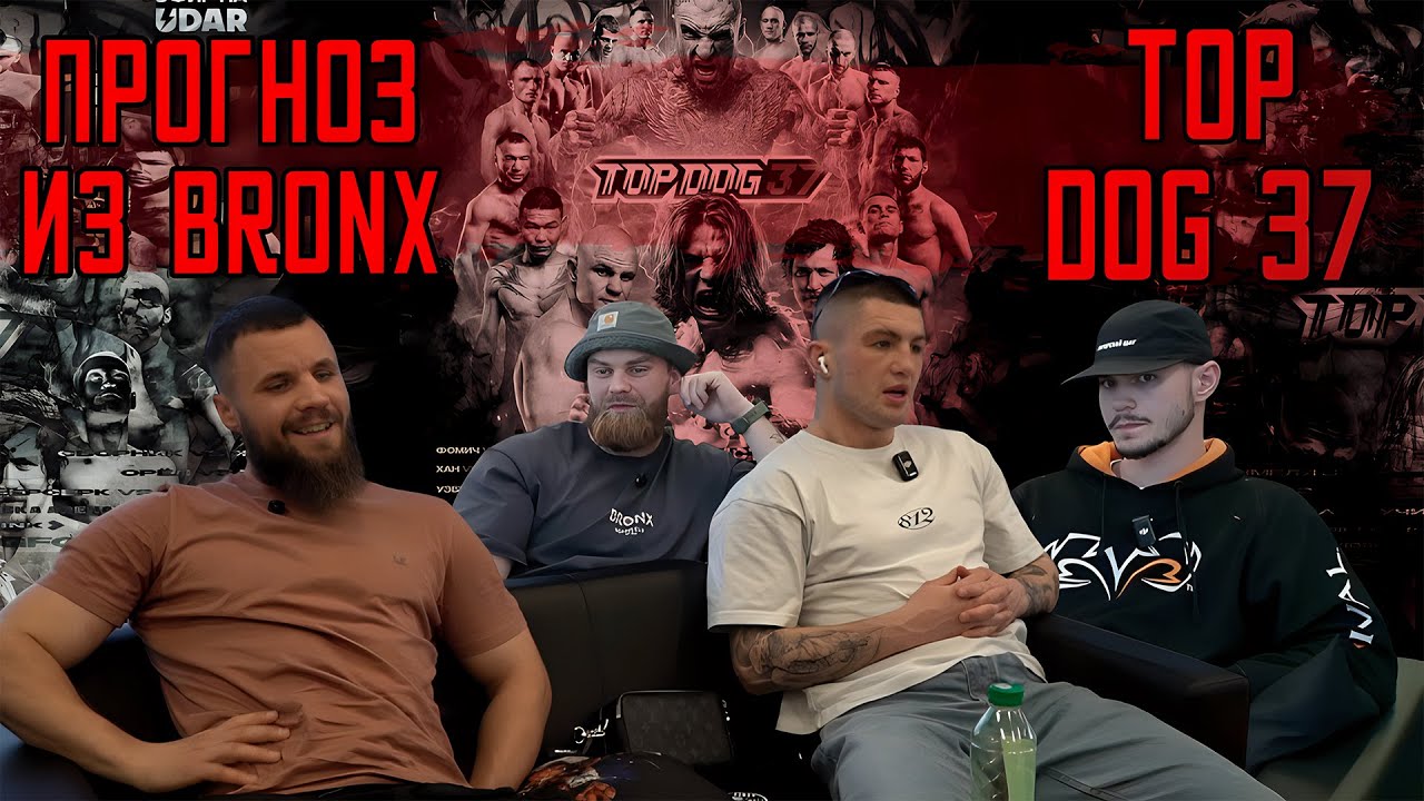 ПРОГНОЗЫ НА БОИ TOP DOG 37 ИЗ ЗАЛА BRONX - YouTube