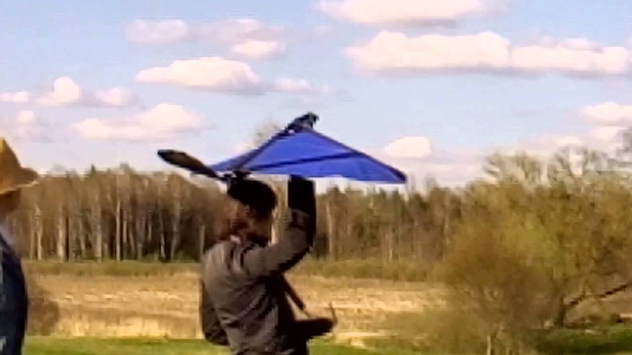 Zilais putns - YouTube