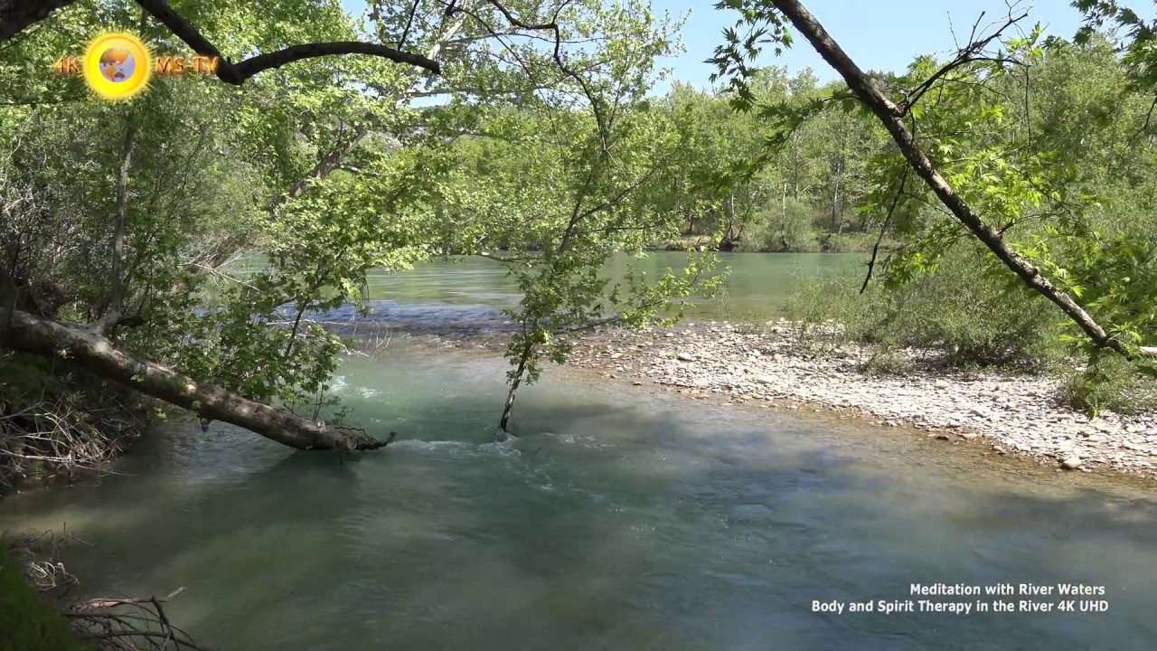 Meditation with River Waters Body and Spirit Therapy in the River 4K ...