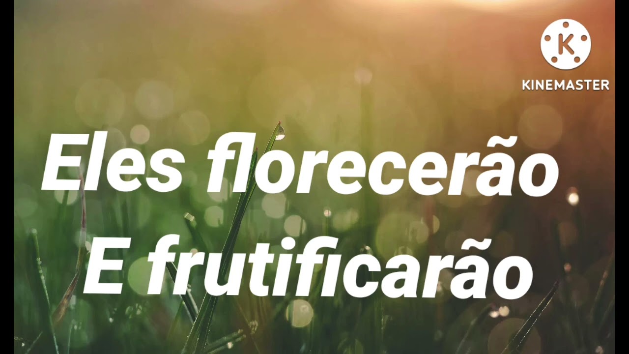 Florescer e frutificar playback com letra Noêmia Martins - YouTube