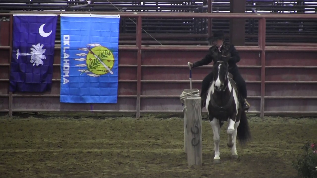 Debbie Sempter - 2016 EXCA World Championships - Novice 1st Scout - YouTube