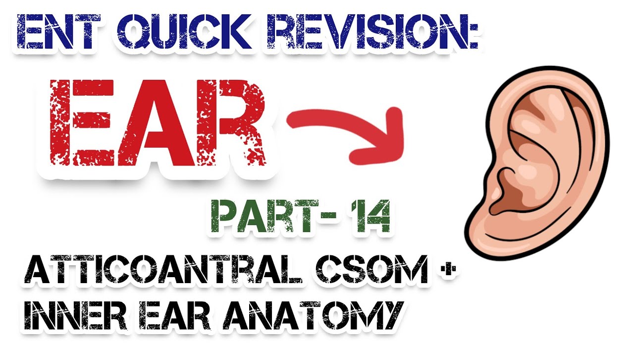 Atticoantral CSOM Explained: Causes, Symptoms, and Inner Ear ...