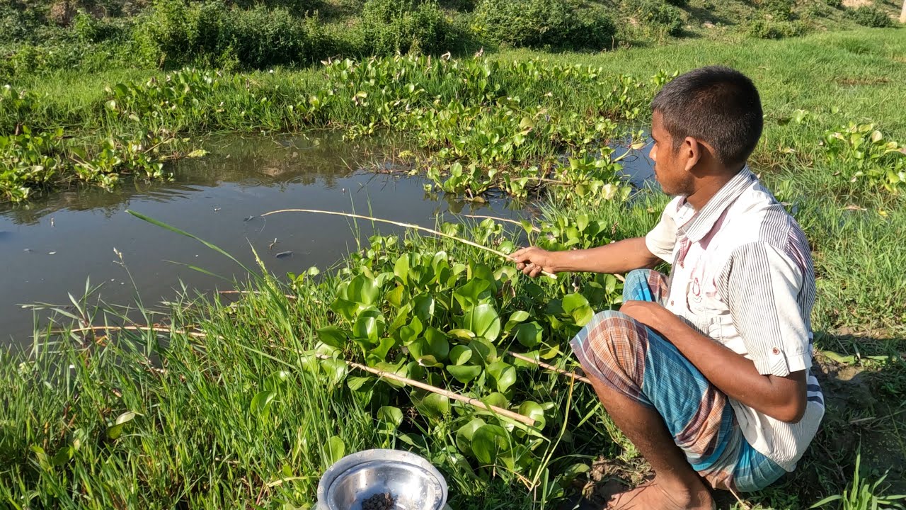 Fishing Video🎣|| Village Boy fishing with a hook in the canal by the ...