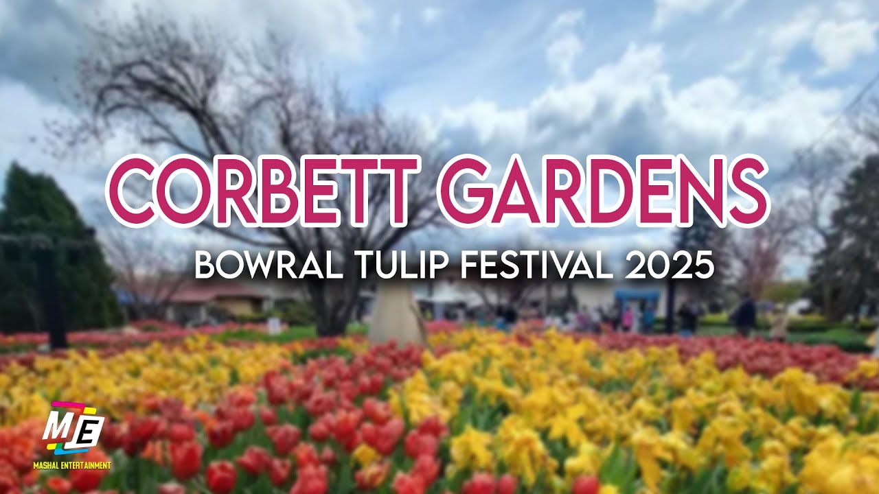Corbett Gardens | Annual Tulip Time Festival 2025 | By Mashal - YouTube