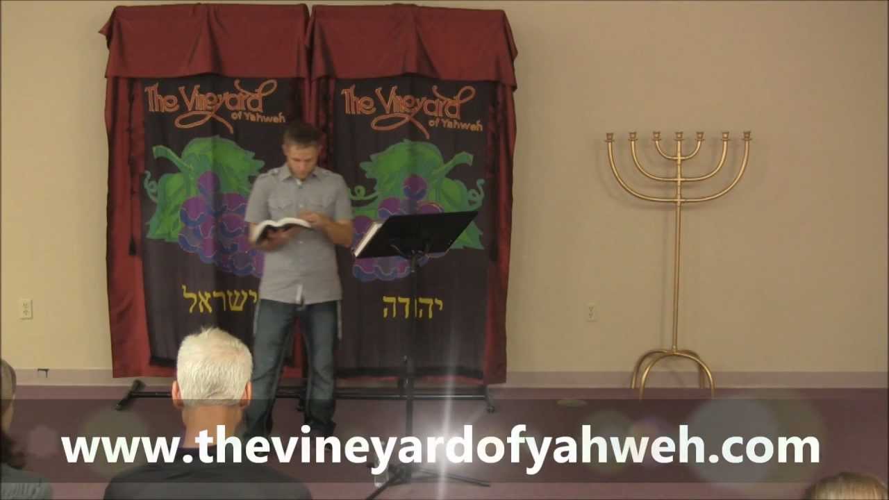 The Two Sticks of Ezekiel 37 - YouTube