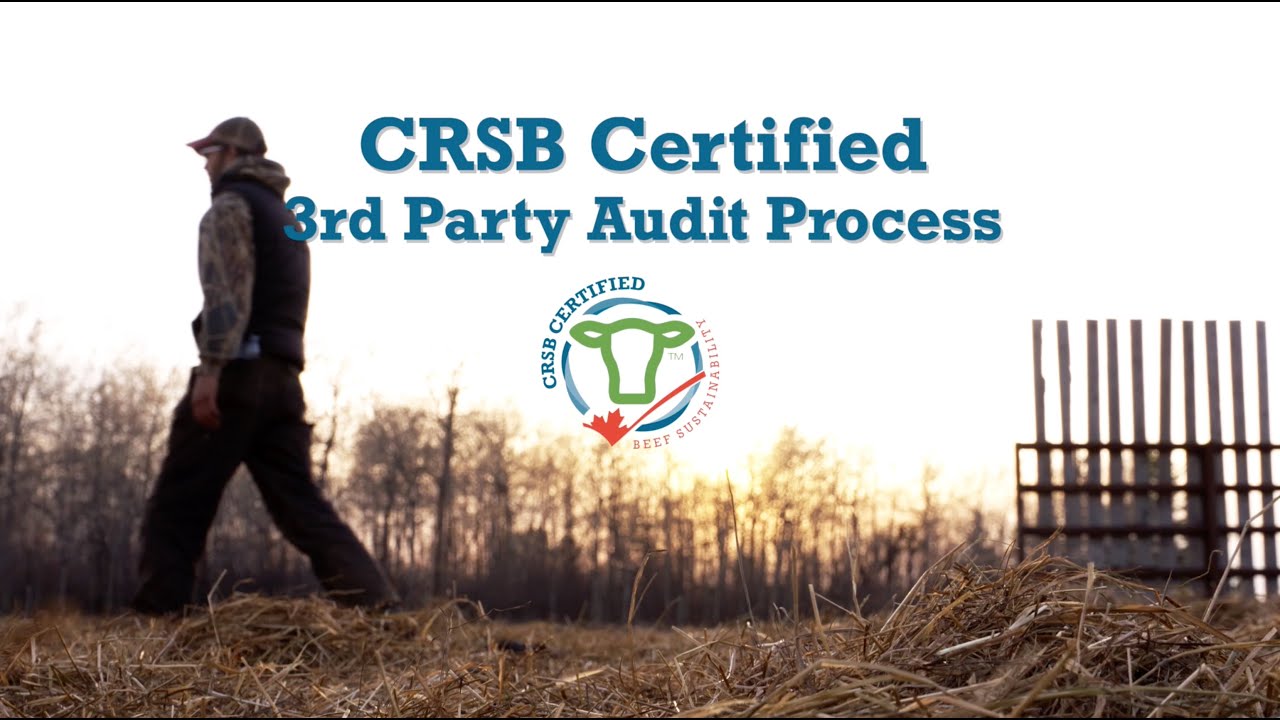 CRSB Certified - all about the certification process - YouTube