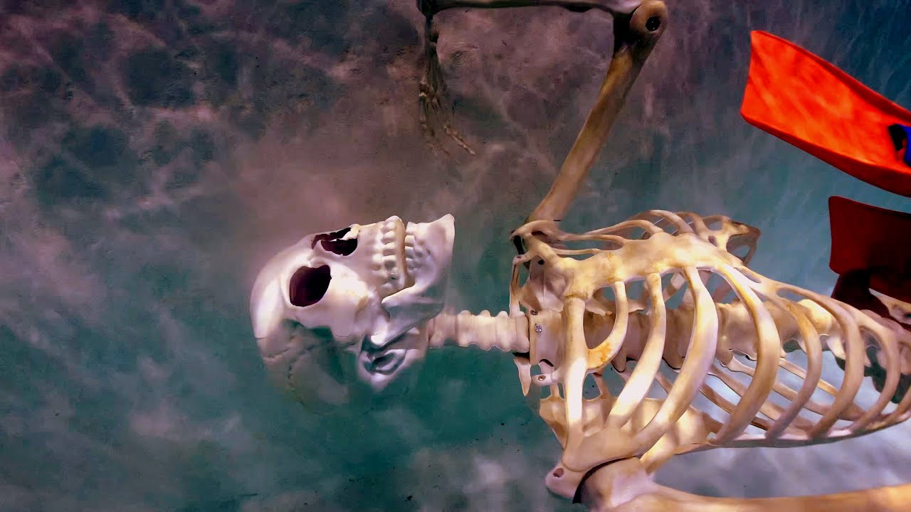 Skeletons in my Pool - YouTube