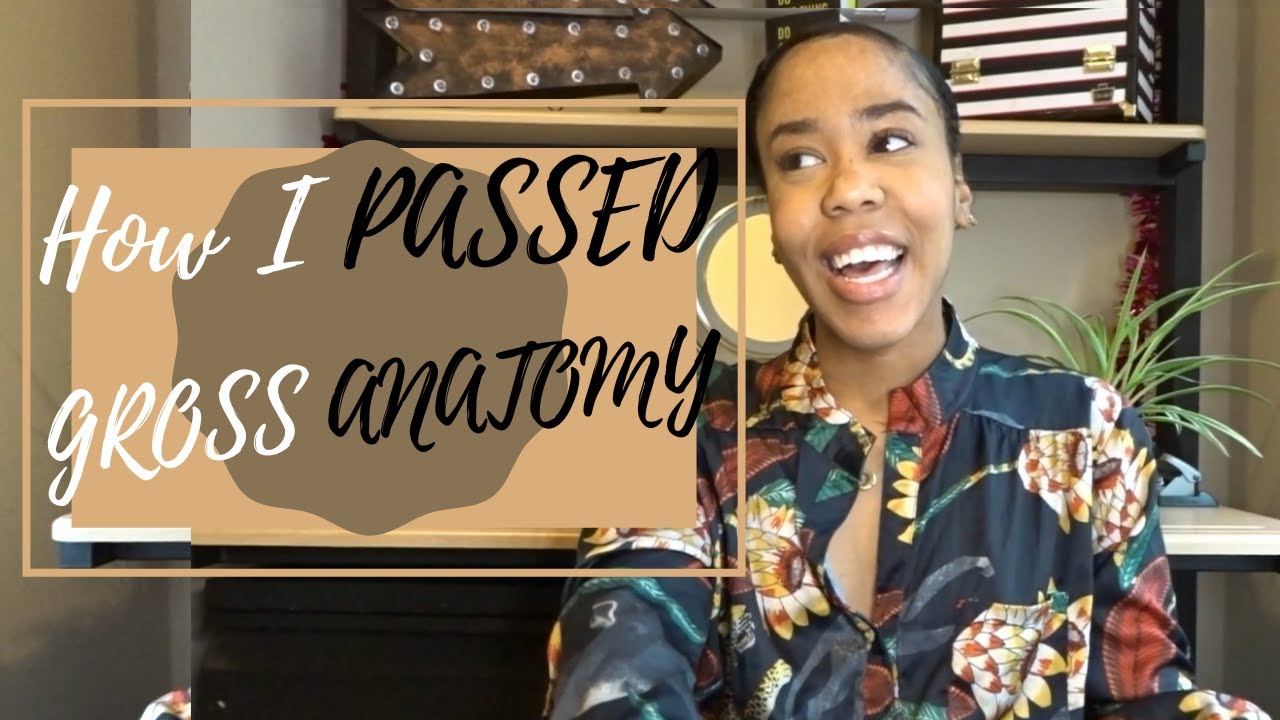 How I Passed GROSS ANATOMY In MEDICAL SCHOOL YouTube how-i-passed-gross-anatomy-in-medical-school-youtube