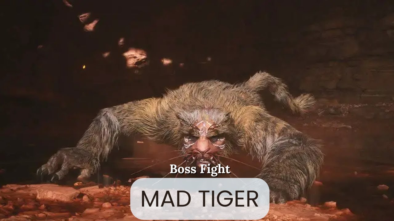 Yaoguai Chief: Mad Tiger - YouTube