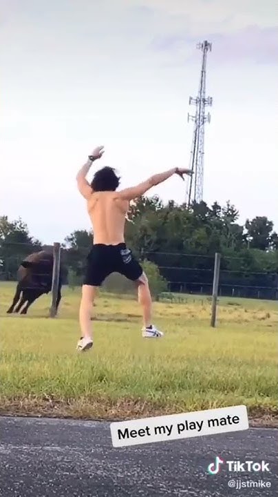 Funny Video: Scare Cows TikTok Challenge - YouTube