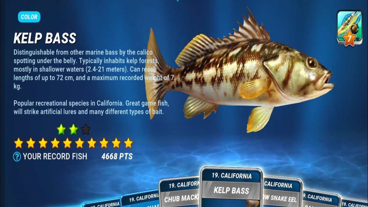 Feel The Bass Event - Fishing Clash Gameplay Ep257 - YouTube