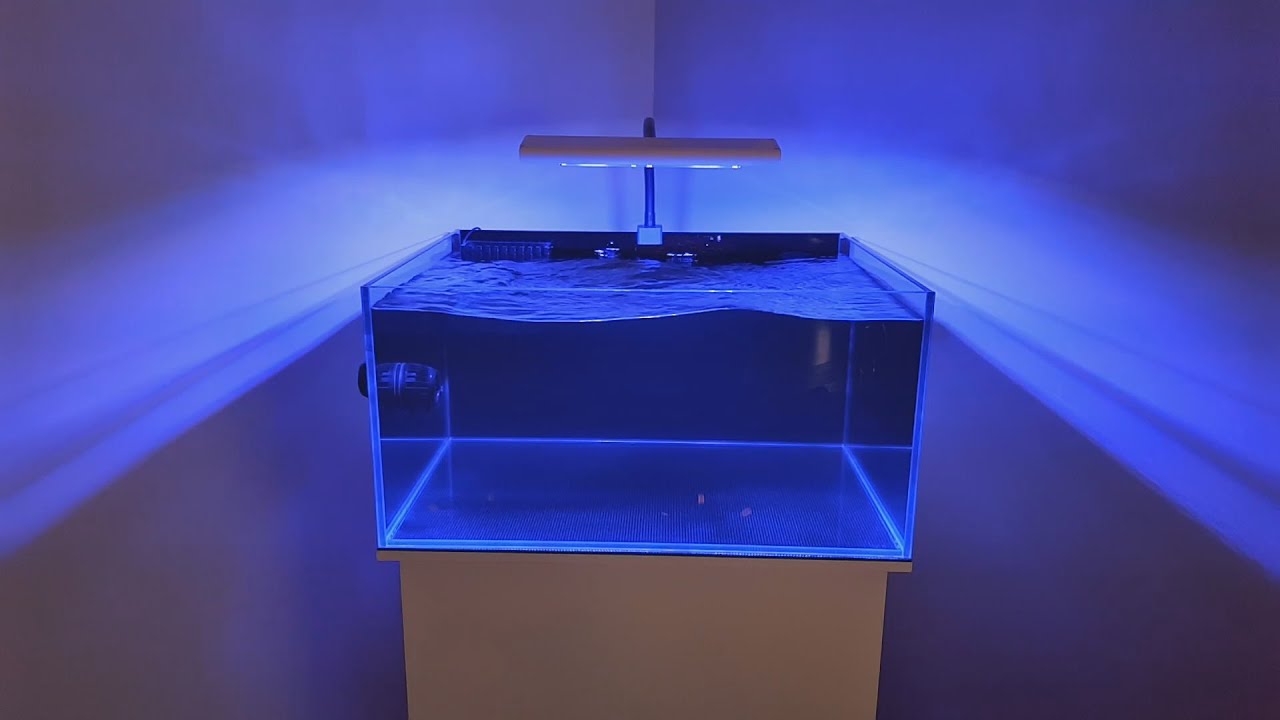 Tech Demo - 25 Gallon Wave Test w/ MP10 at 100% - YouTube