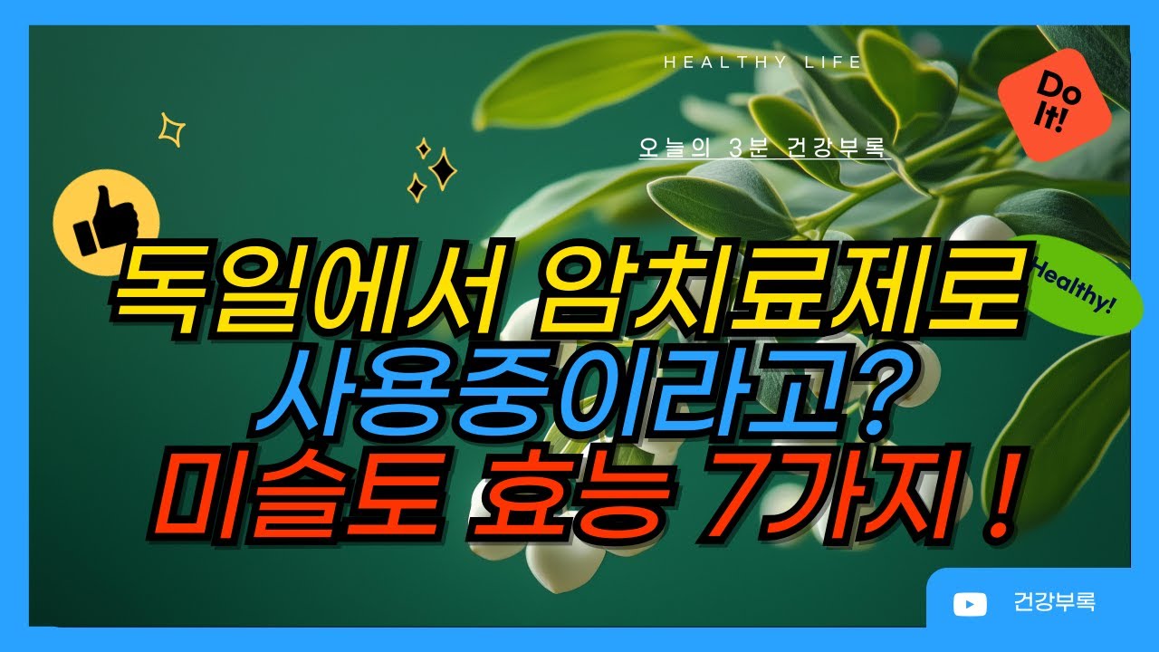 미슬토 효능 7가지 - YouTube