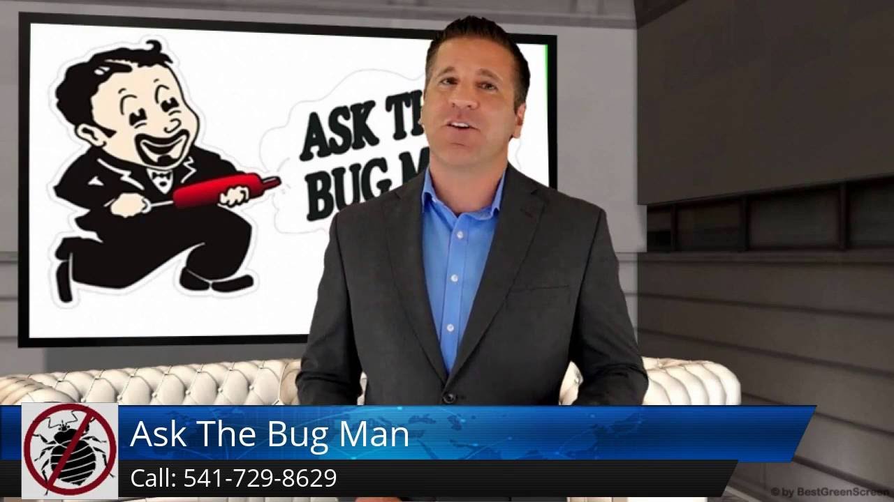 Ask The Bug Man Eugene - YouTube