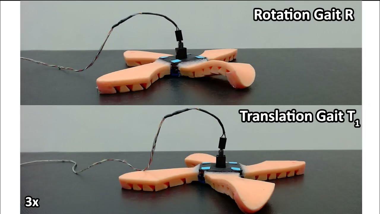 Multi-gait Locomotion Planning and Tracking for Tendon-actuated Terrestrial Soft Robot ...