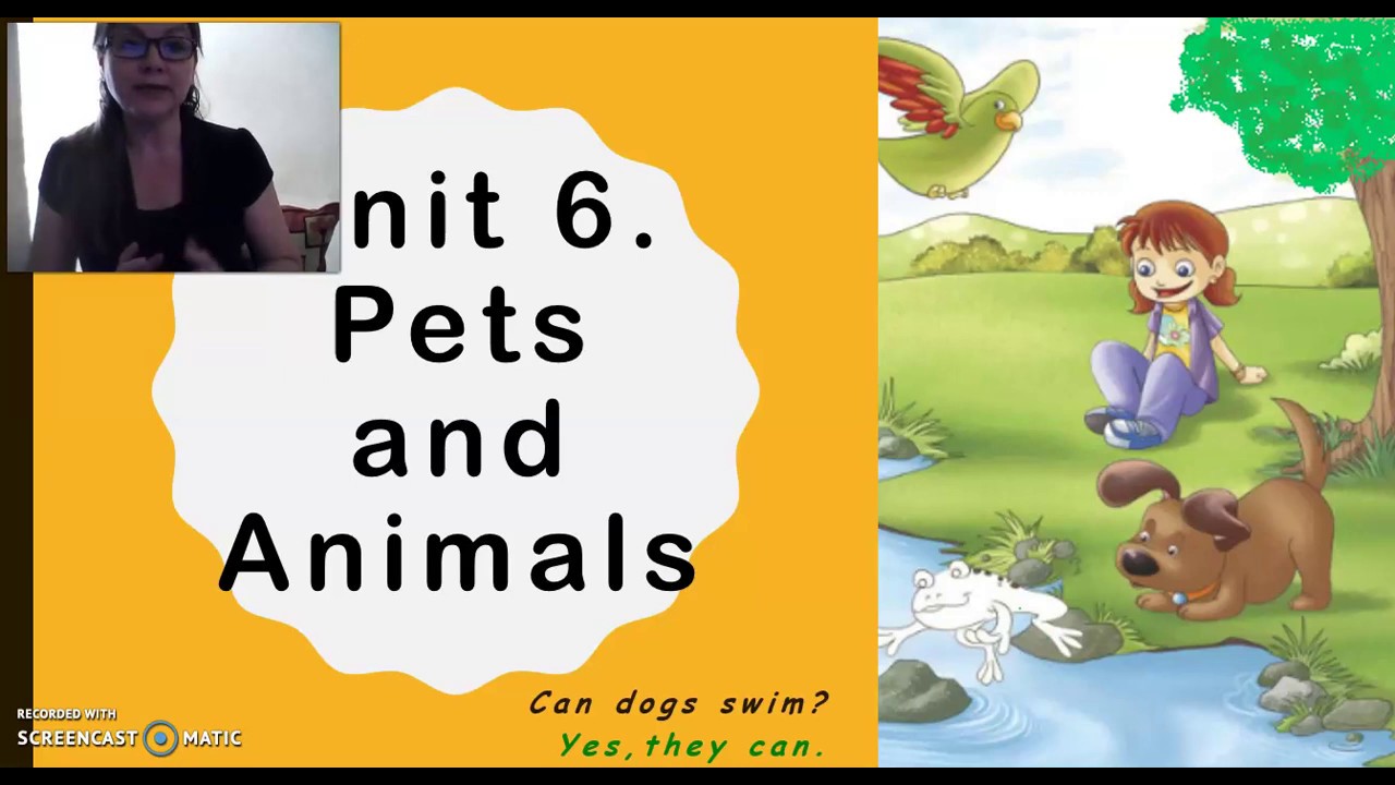 Unit 6. FLASHCARDS 1st Gde - YouTube