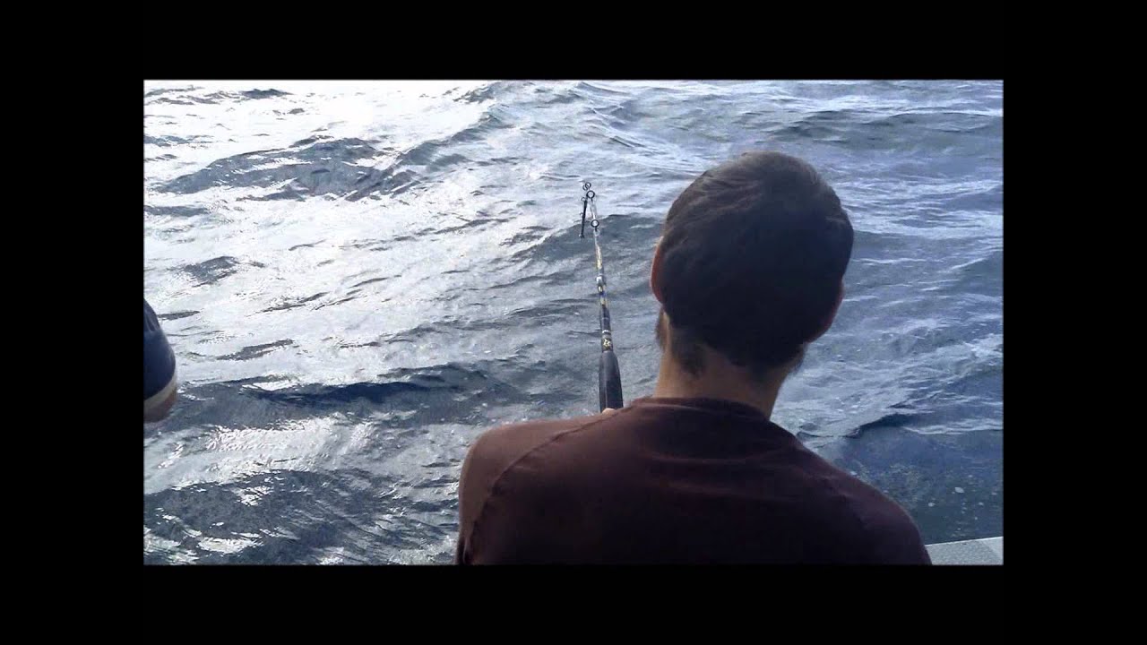 FISHING NEW ZEALAND: BASS FISHING RANFURLY BANKS - YouTube