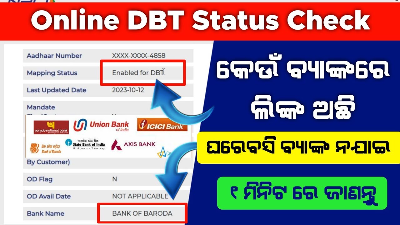 DBT Link Account Check Online Odia | Online DBT Status check | How to ...