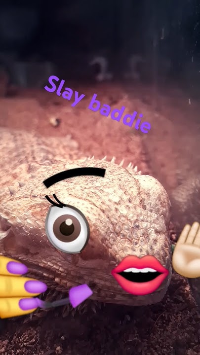 slay baddies - YouTube