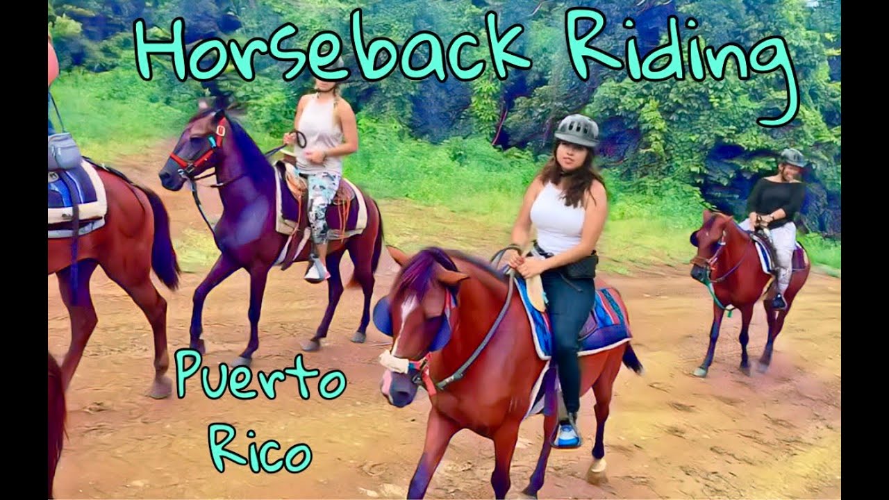 HORSEBACK RIDING IN PUERTO RICO 2019 - YouTube