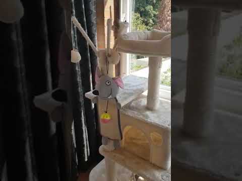 Burası benim evim ellemeyin