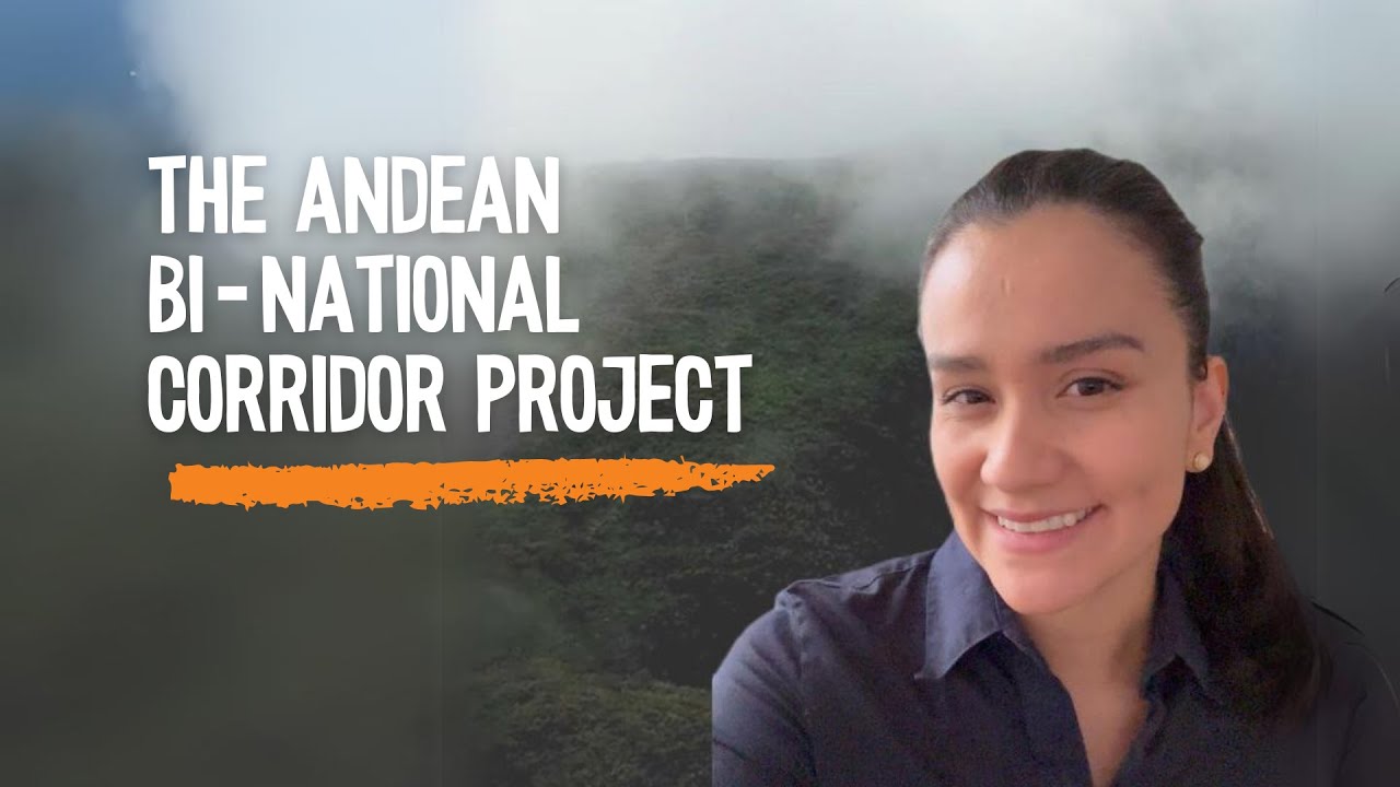 What is the Andean Corridor? - YouTube