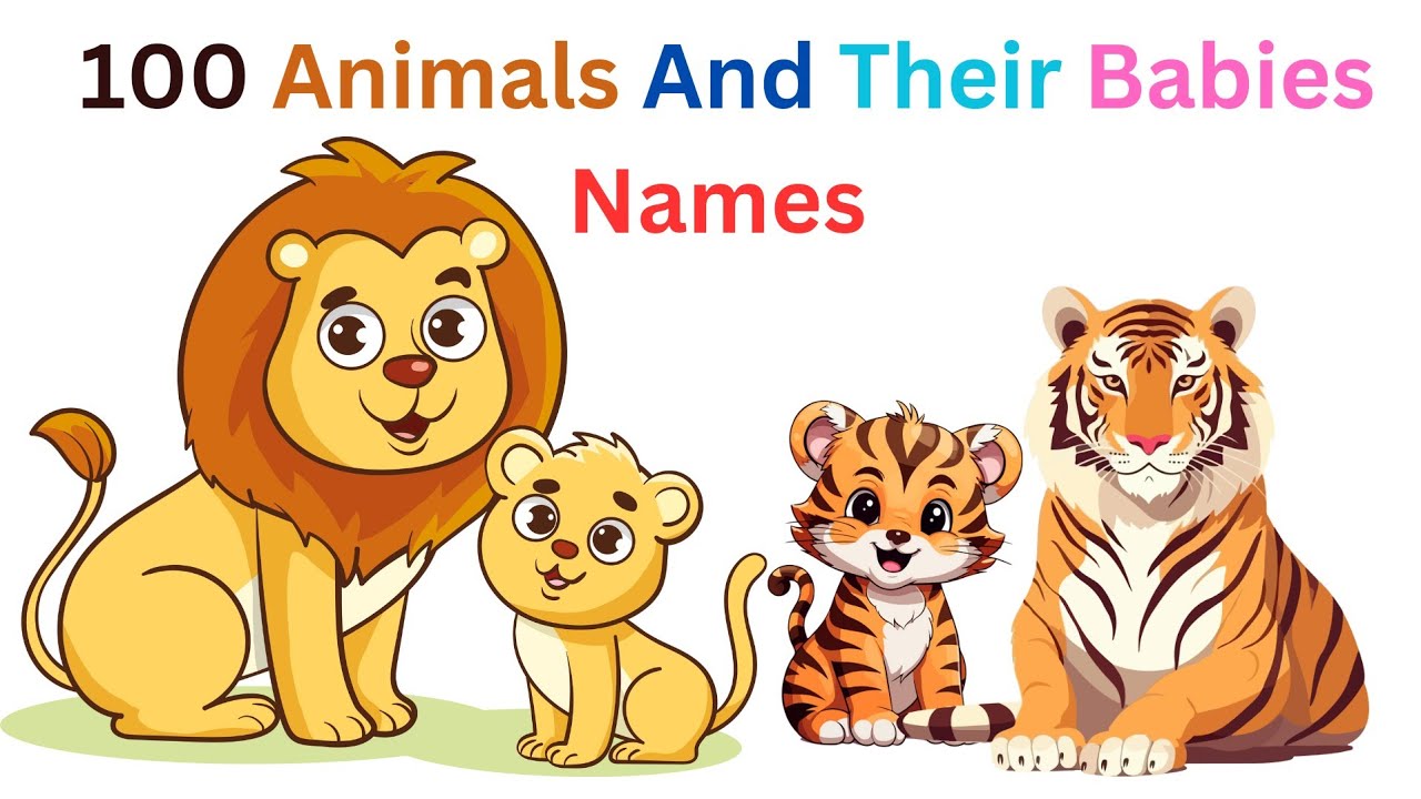 Animals And Their Babies Names|Animals & Their Babies|Kids vocabulary ...