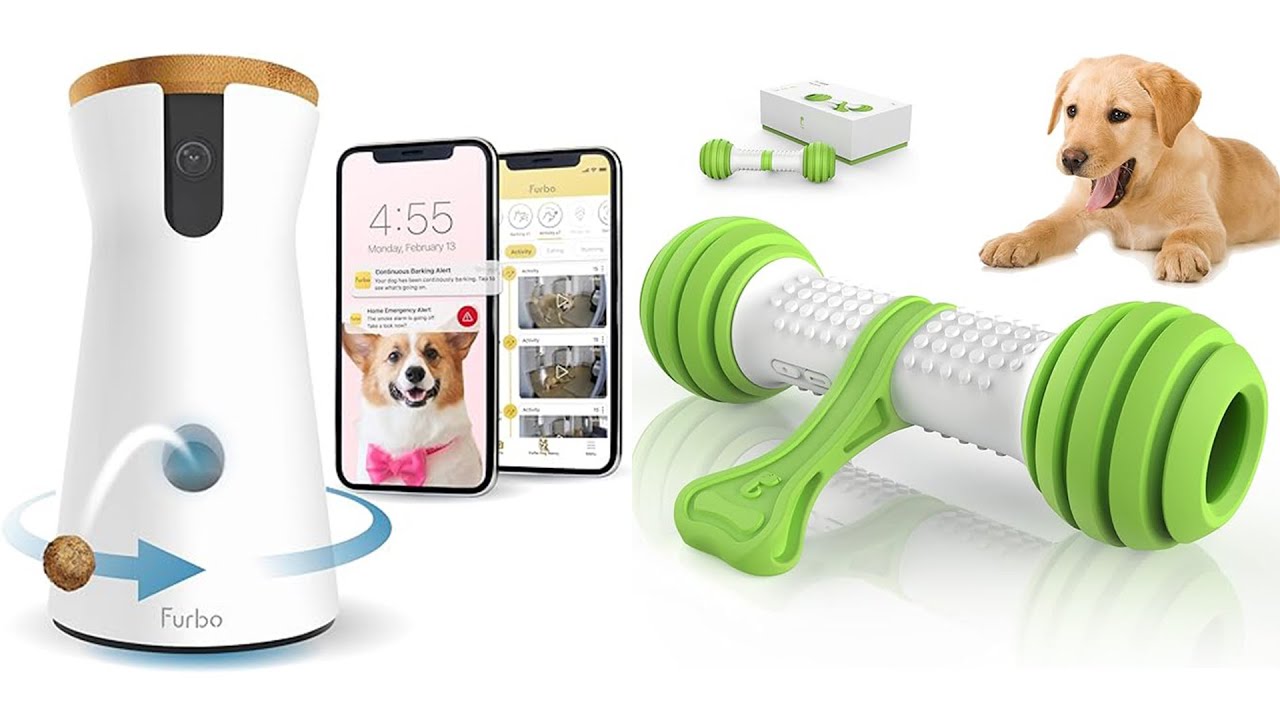 TOP 5 Best Gadgets for Dogs on Amazon | JoysPets - YouTube