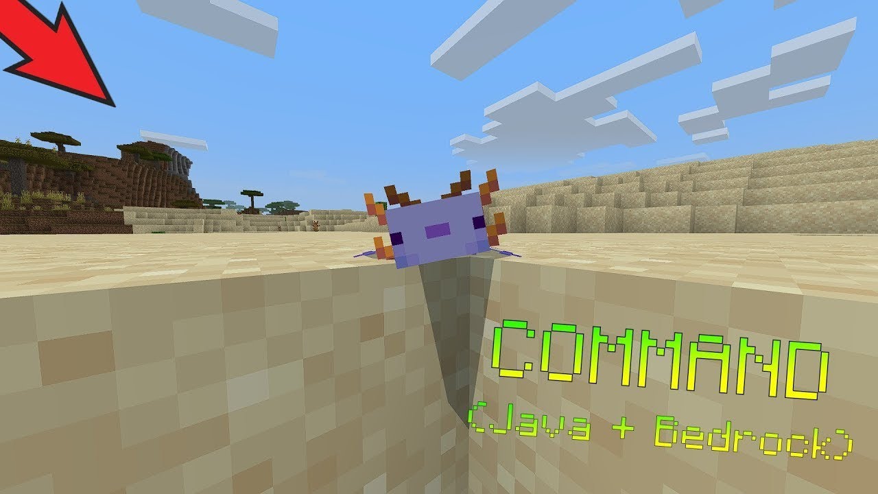 HOW TO SPAWN BLUE AXOLOTL IN MINECRAFT BEDROCK EDITION || ITZ ALLOS ...