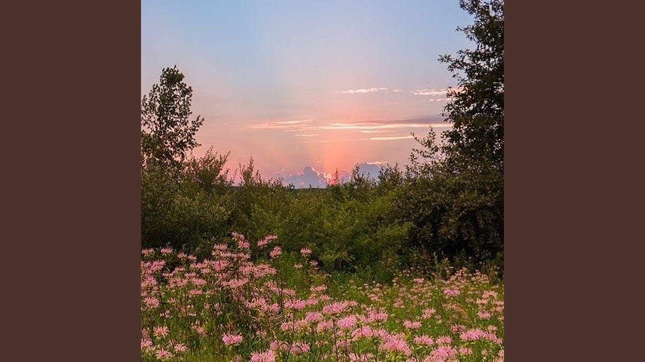 It’s That Time Again - d4vd: Song Lyrics, Music Videos & Concerts