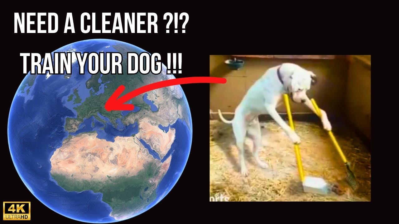 Amazing Dog on Google Earth Google Maps #googleearthbizarre - YouTube