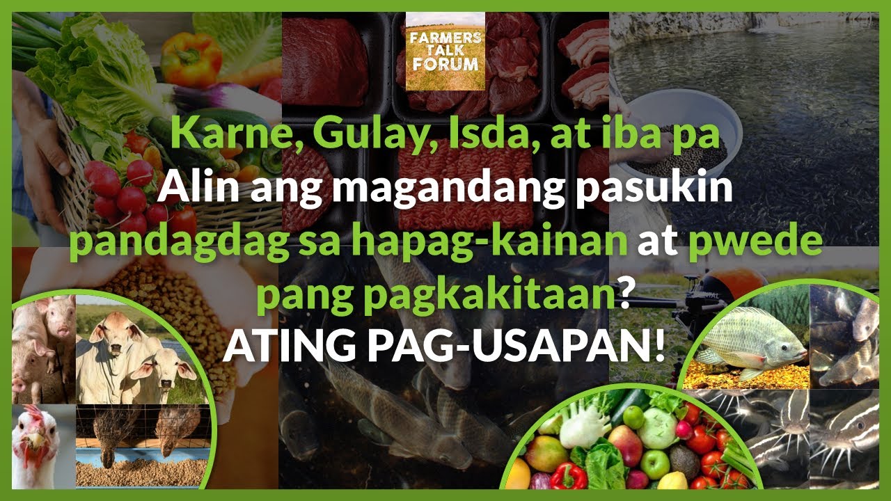 Karne, Gulay, Isda, atbp: Alin ang magandang pasukin pandagdag sa hapag ...
