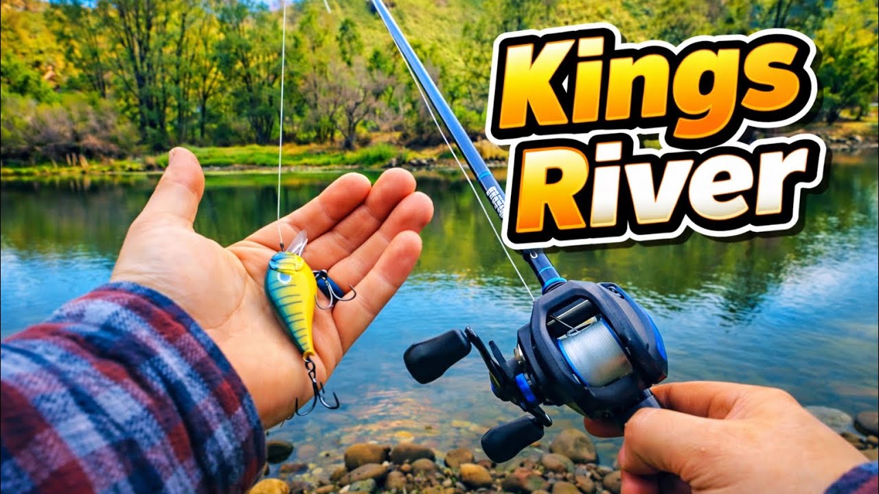 KINGS RIVER 2024 Bass Fishing - YouTube