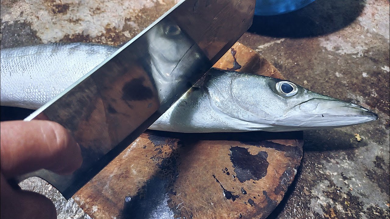 Vietnamese seafood - Barracuda fish, delicious food for the sunny ...