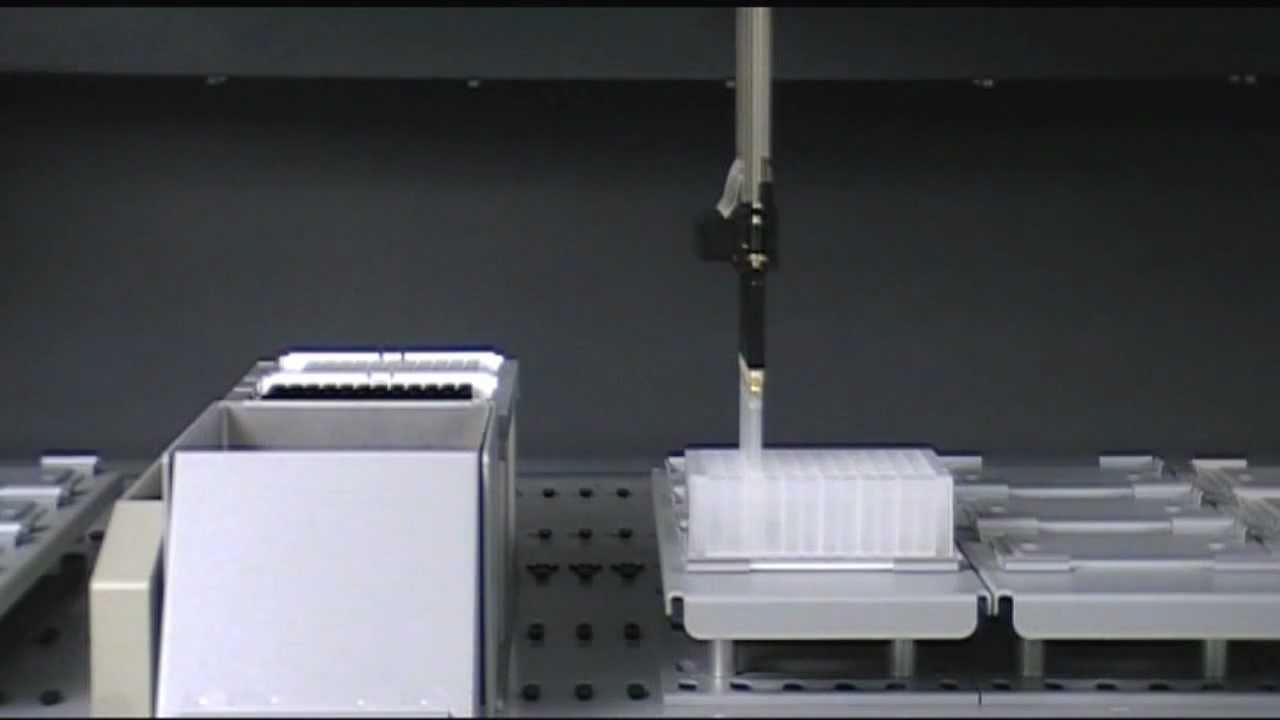 Purification Automation of Protein A Antibody Binding PhyTip Columns on ...