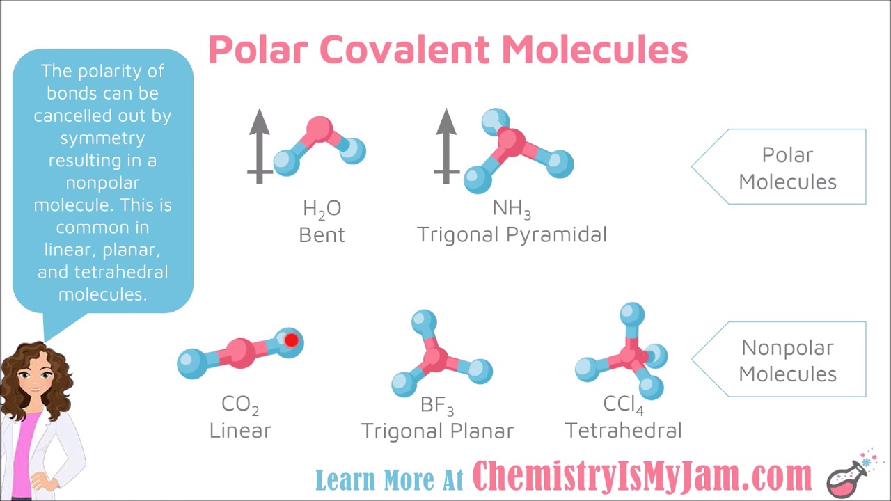 Polar Covalent Bonds YouTube polar-covalent-bonds-youtube