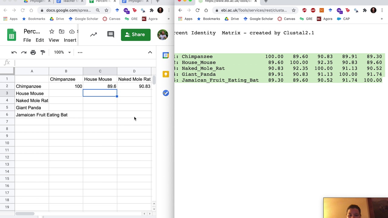 Percent Identity Matrix Tutorial - YouTube