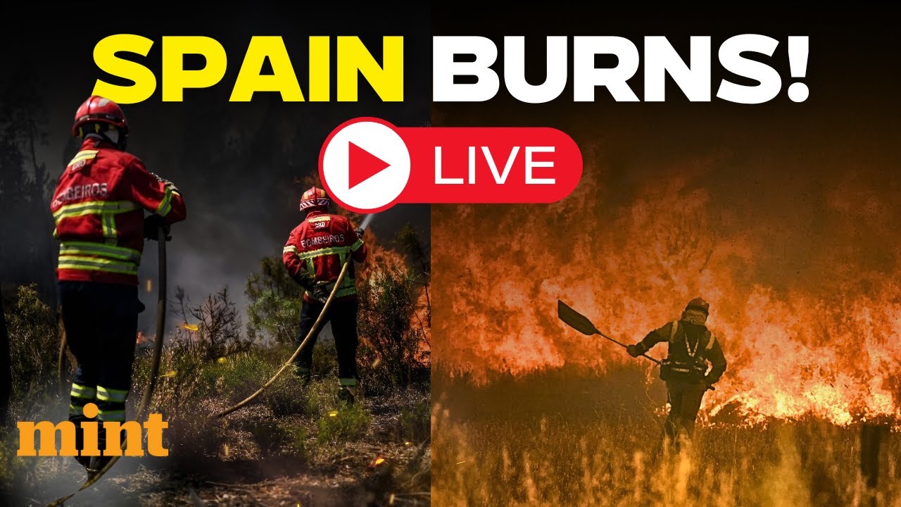 Spain Wildfire LIVE: Heatwave Sparks Wildfires, Thousands Flee Homes In ...
