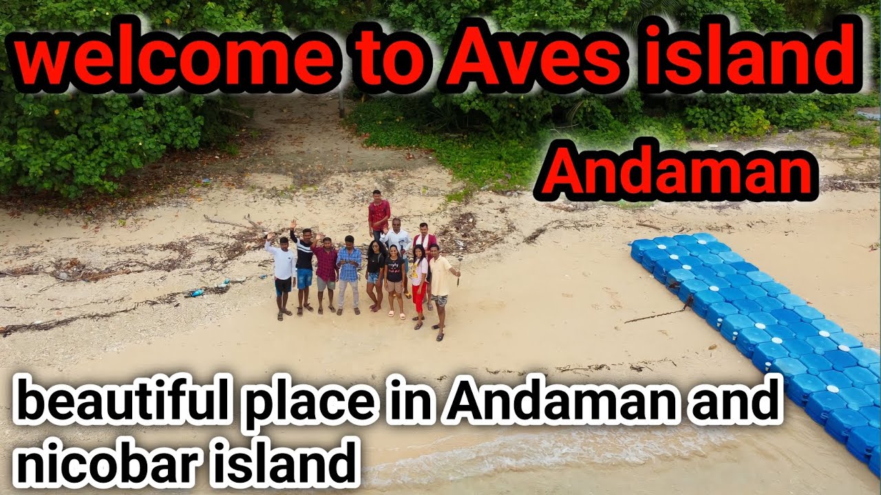 beautiful place in Andaman and nicobar island || aves island🏝 Andaman ...