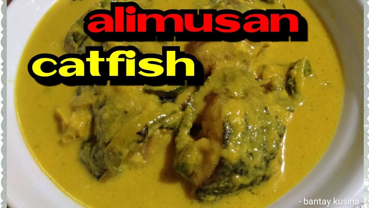 Ginataang alimusan - YouTube
